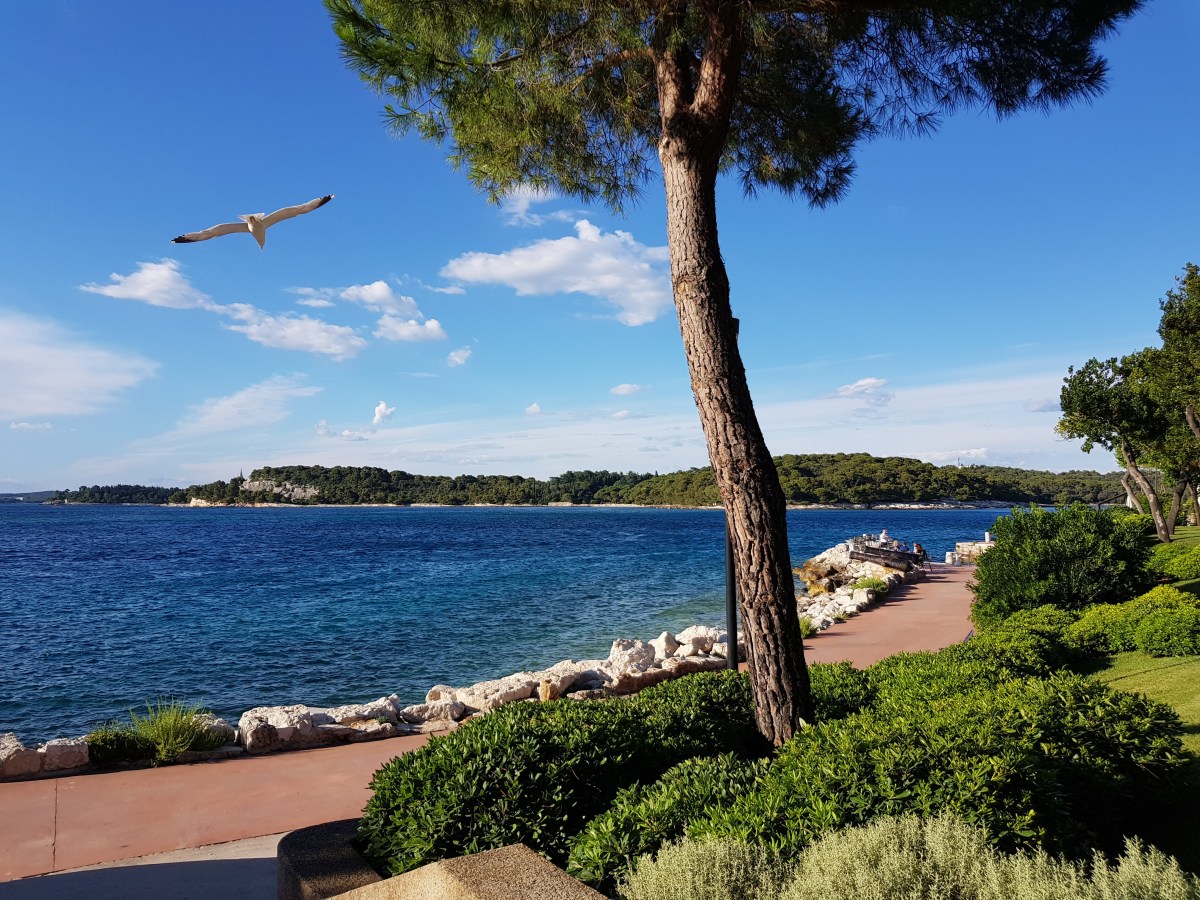 ITINERARY: 7 DAYS IN ISTRIA, CROATIA – CONCRETE COLLAGE