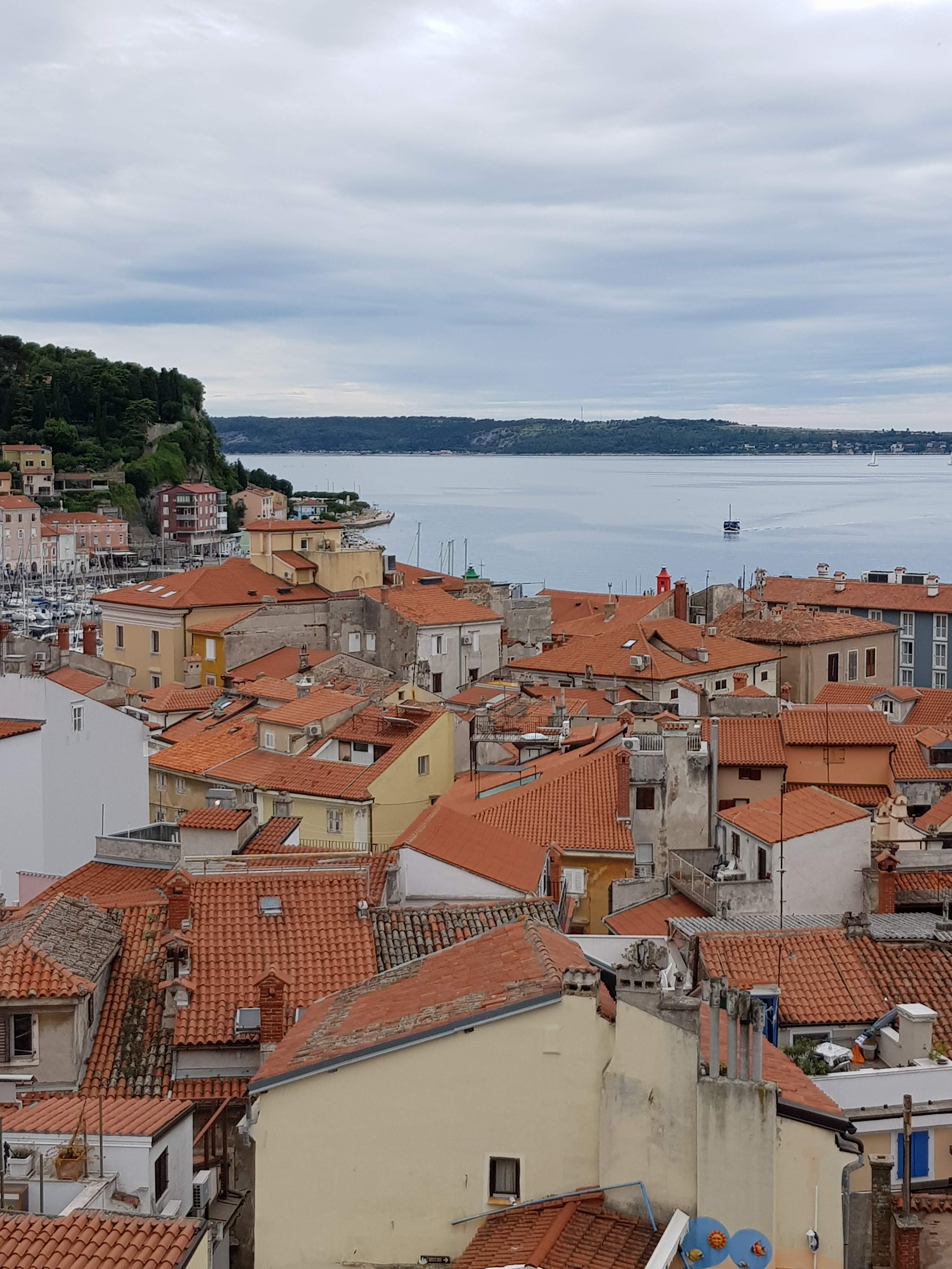 ITINERARY: 7 DAYS IN ISTRIA, CROATIA – CONCRETE COLLAGE