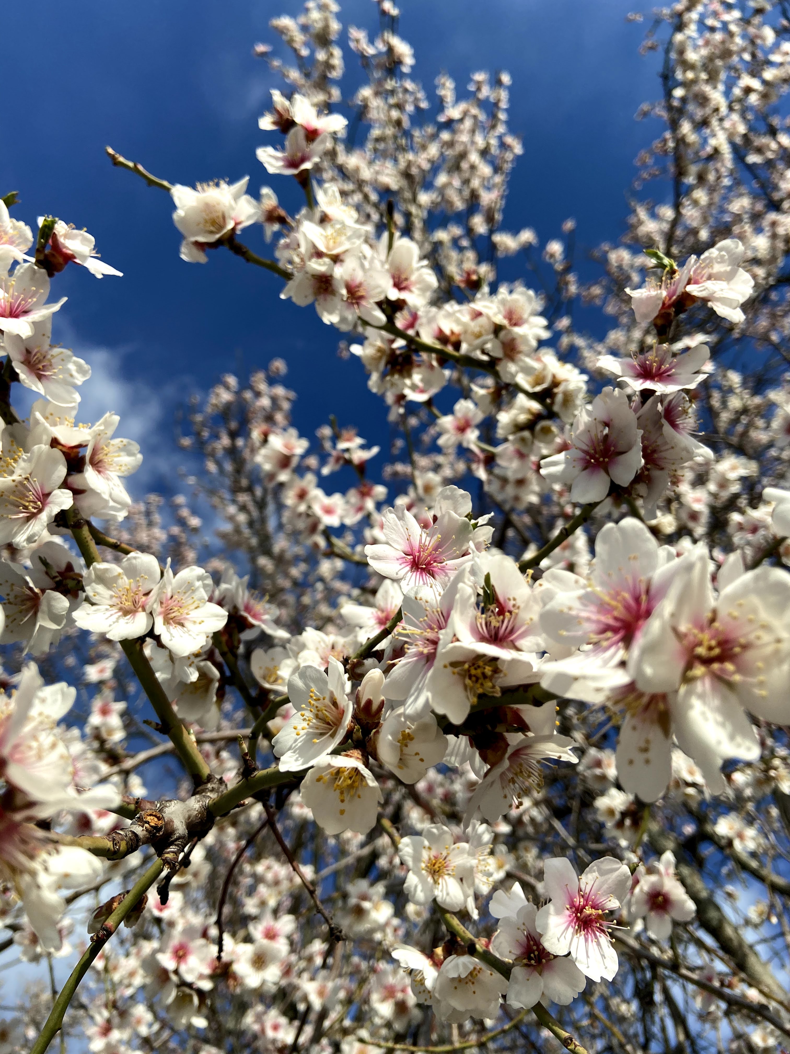 Trippin: Ohrid the any time of the year gem – CONCRETE COLLAGE