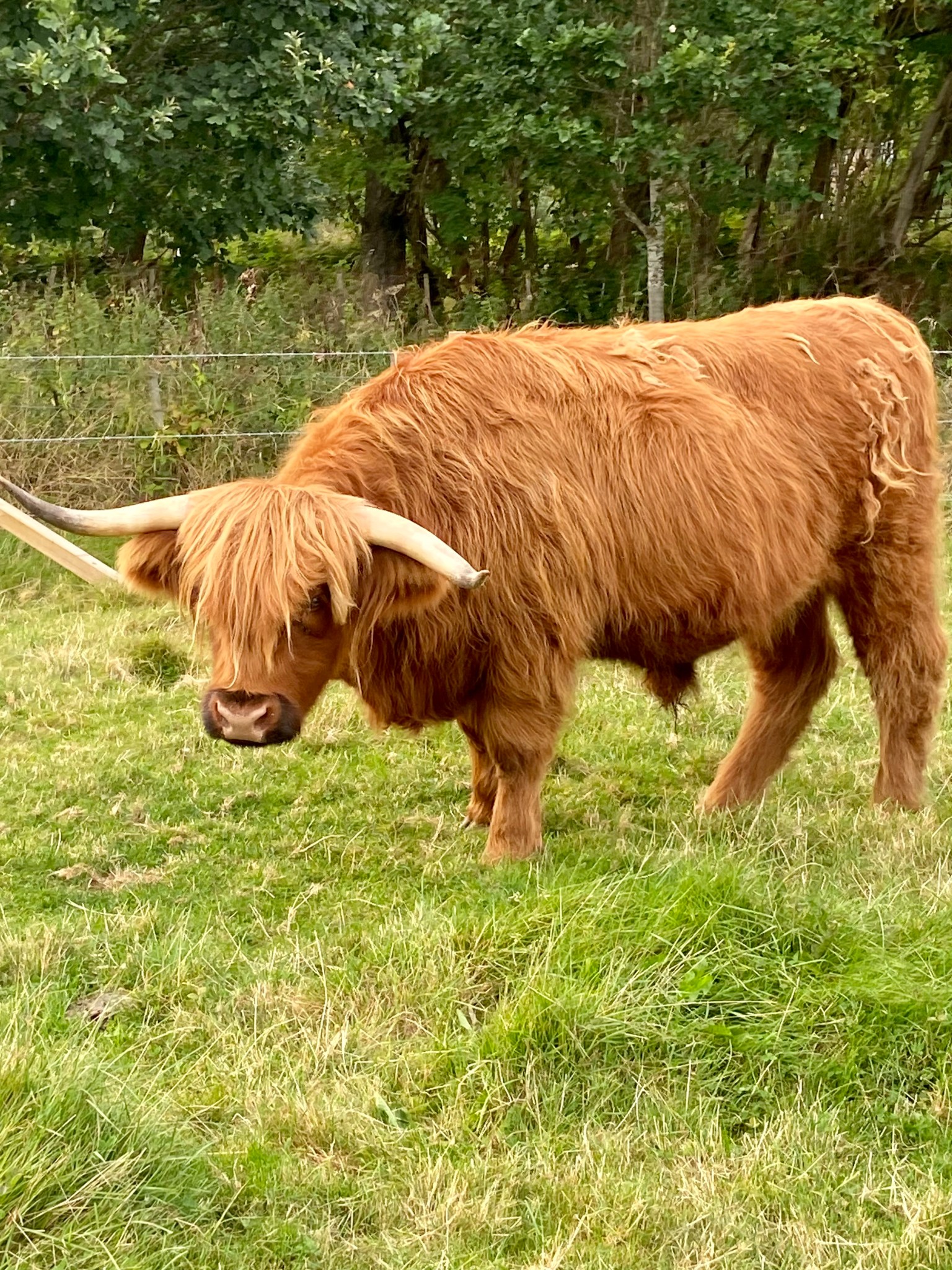 ITINERARY: Scottish Highlands & Isle of Skye by camper – CONCRETE COLLAGE